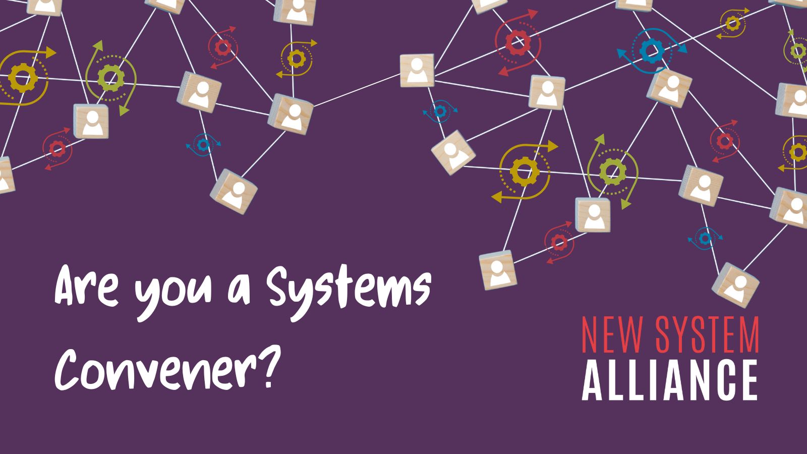 Are you a Systems Convener? - New System Alliance